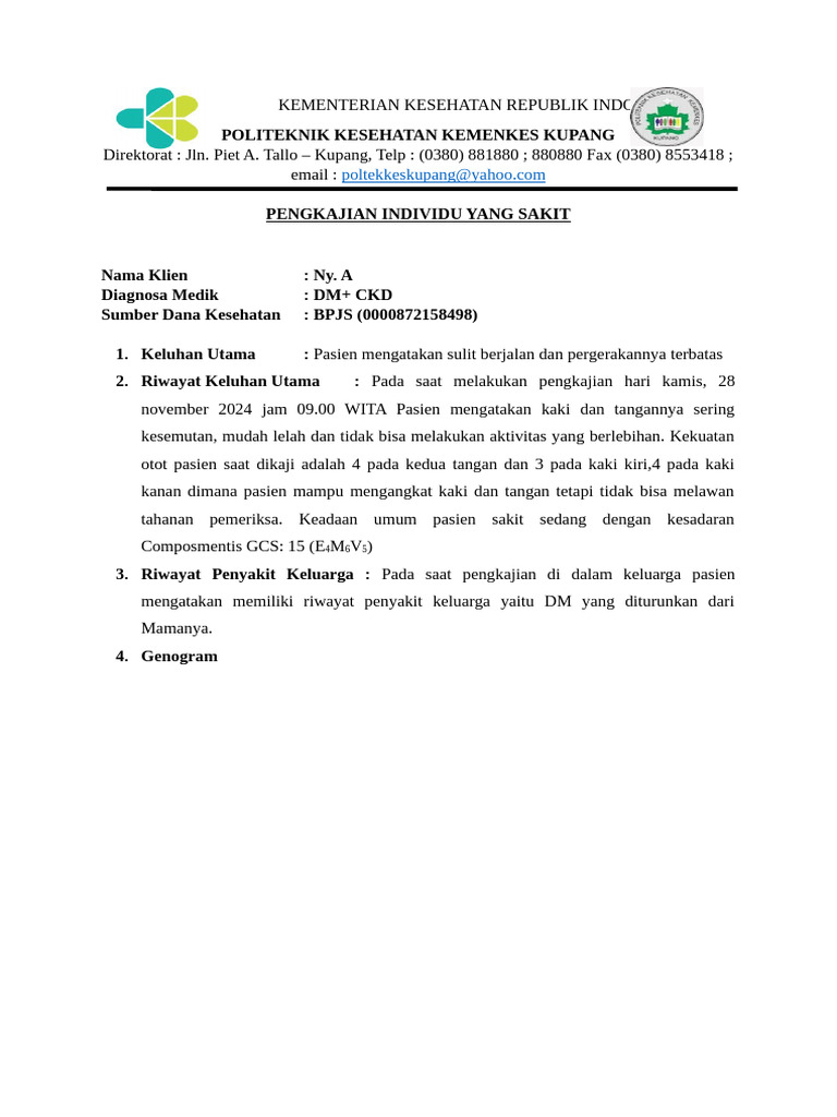 Format Pengkajian Home Care Pasien DM | PDF