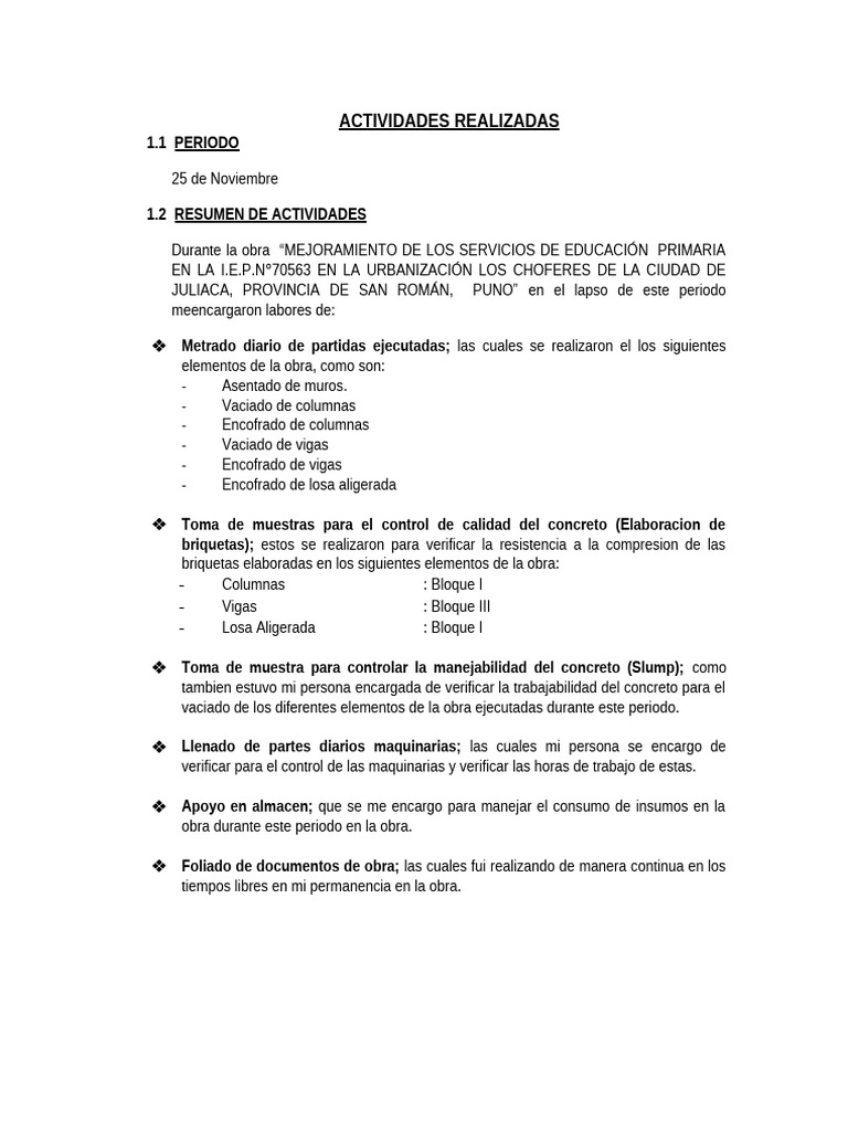 -Modelo-de-informe-de-actividades-docx | PDF