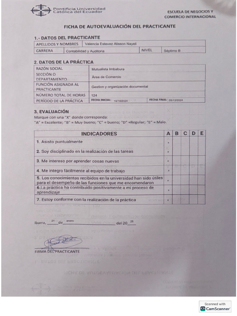 Valencia Alisson Evaluacion | PDF