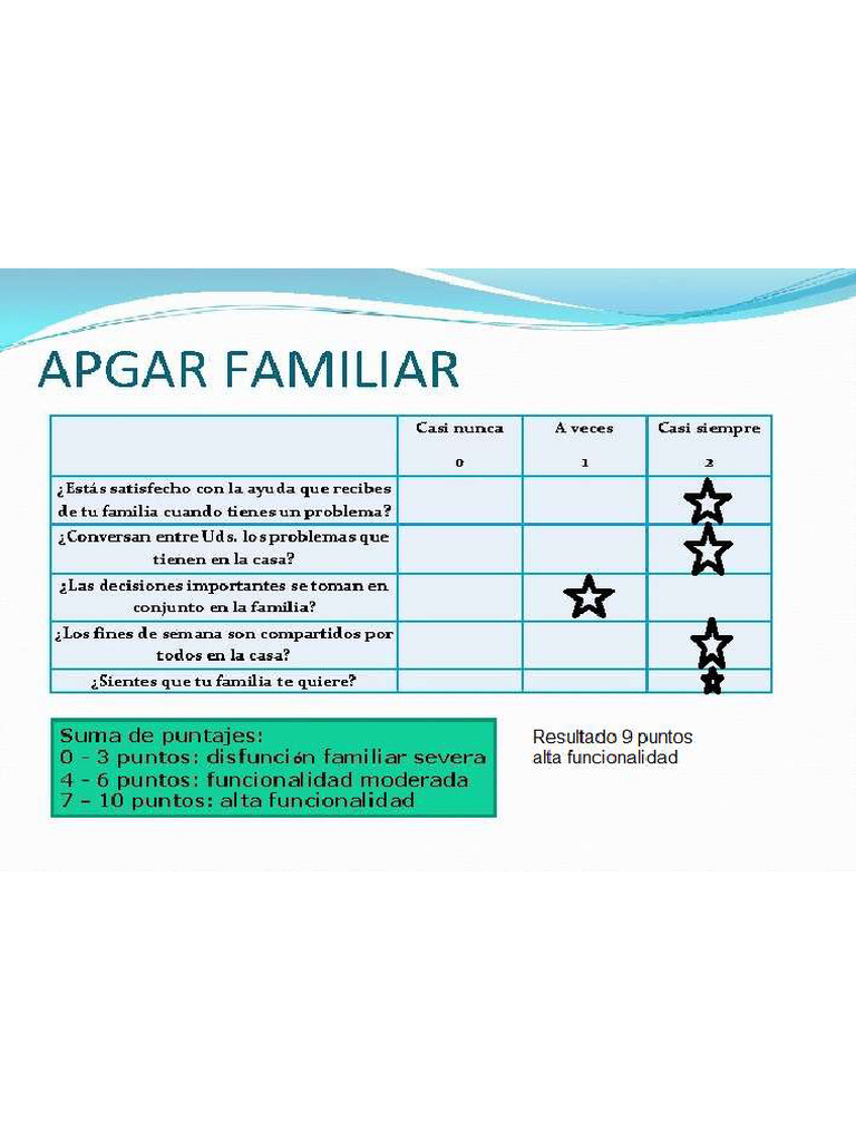 Apgar Familiar2 | PDF