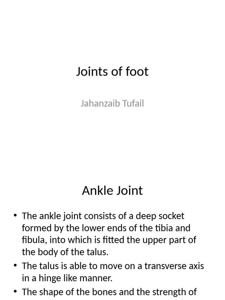 Anatomy of Foot Joints Explained | PDF | Ankle | Foot