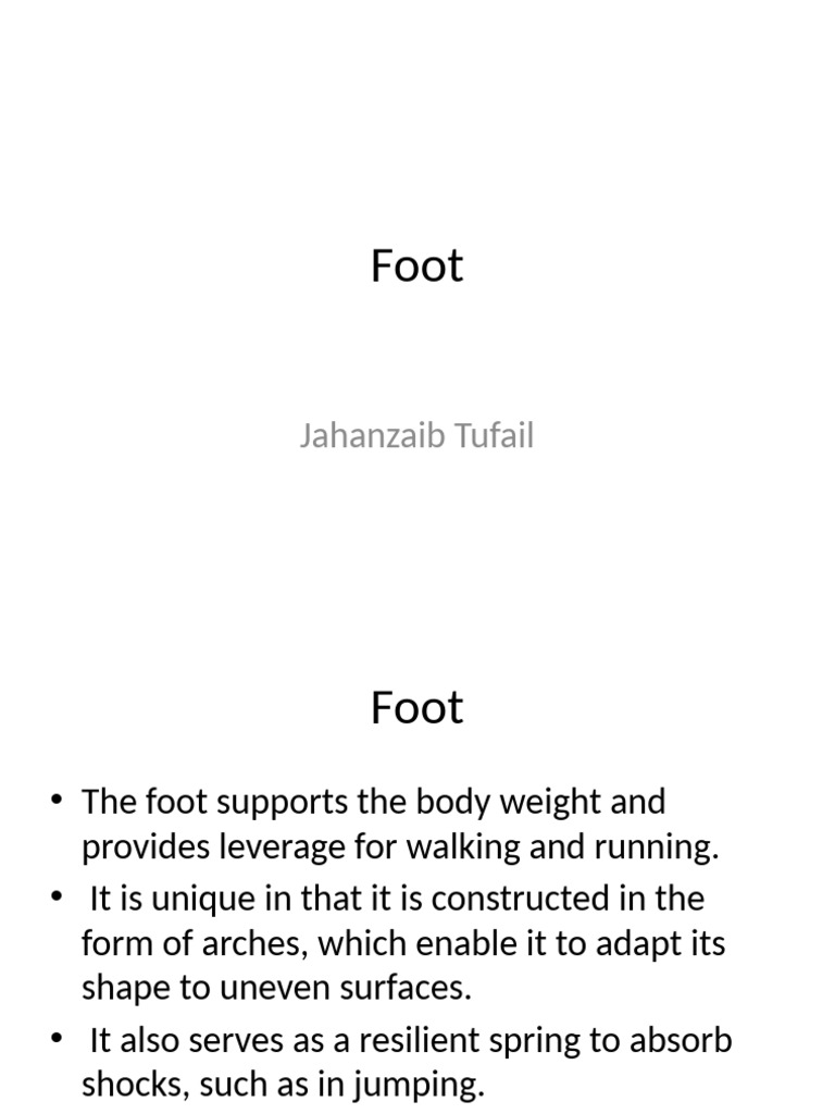 Foot | PDF | Foot | Musculoskeletal System