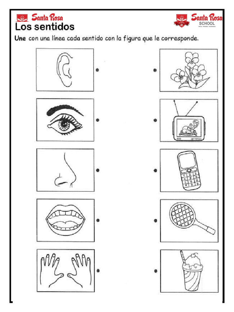 Ficha de Los Sentidos Los Sentidos | PDF