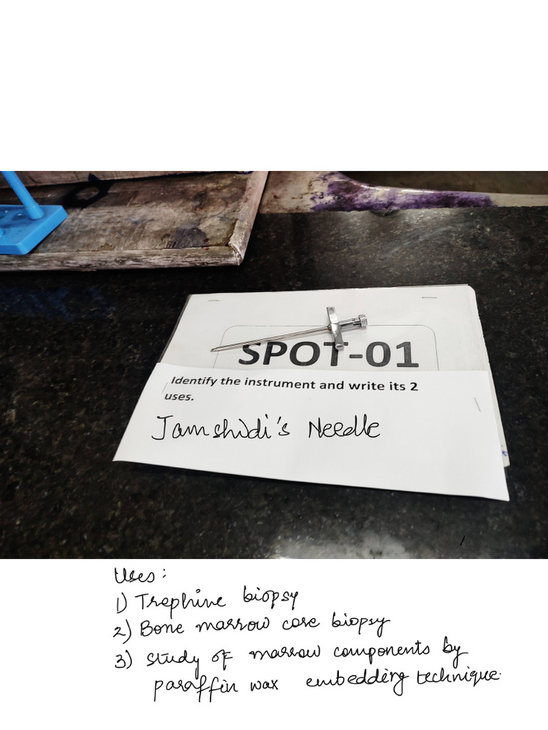 Pathology Proff Spotting | PDF