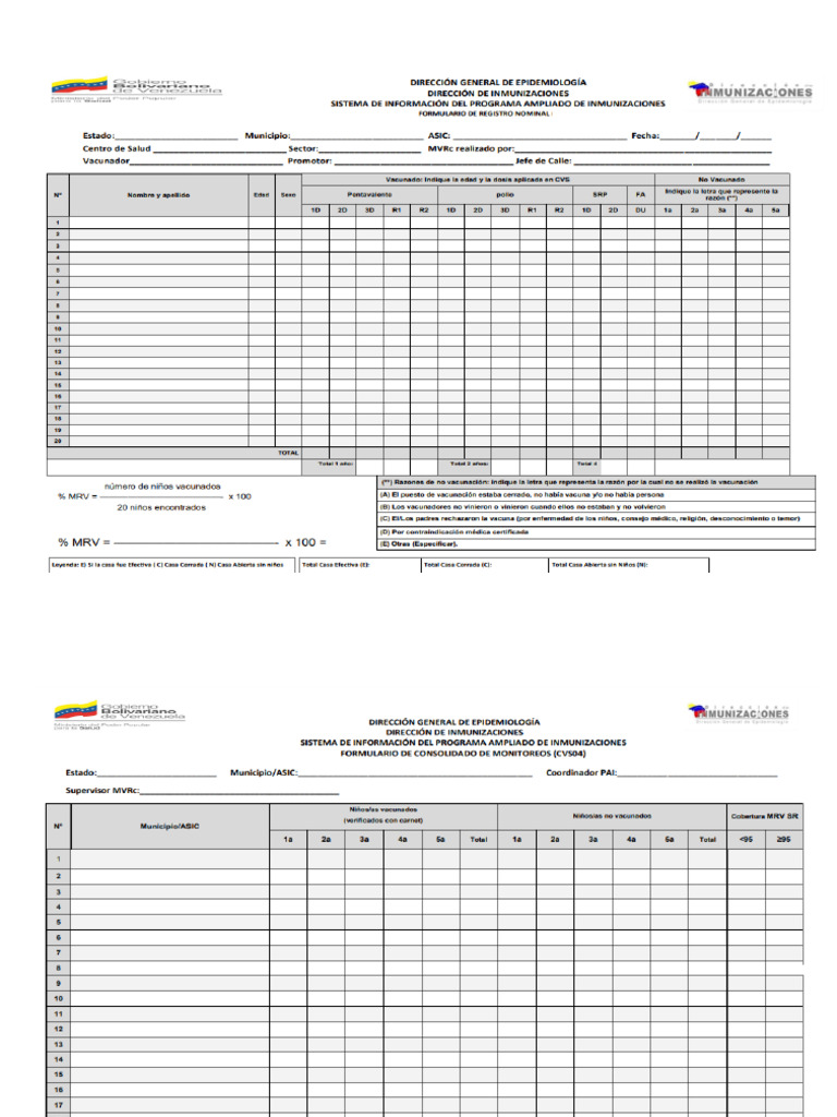 Formulario MRV 2024 | PDF