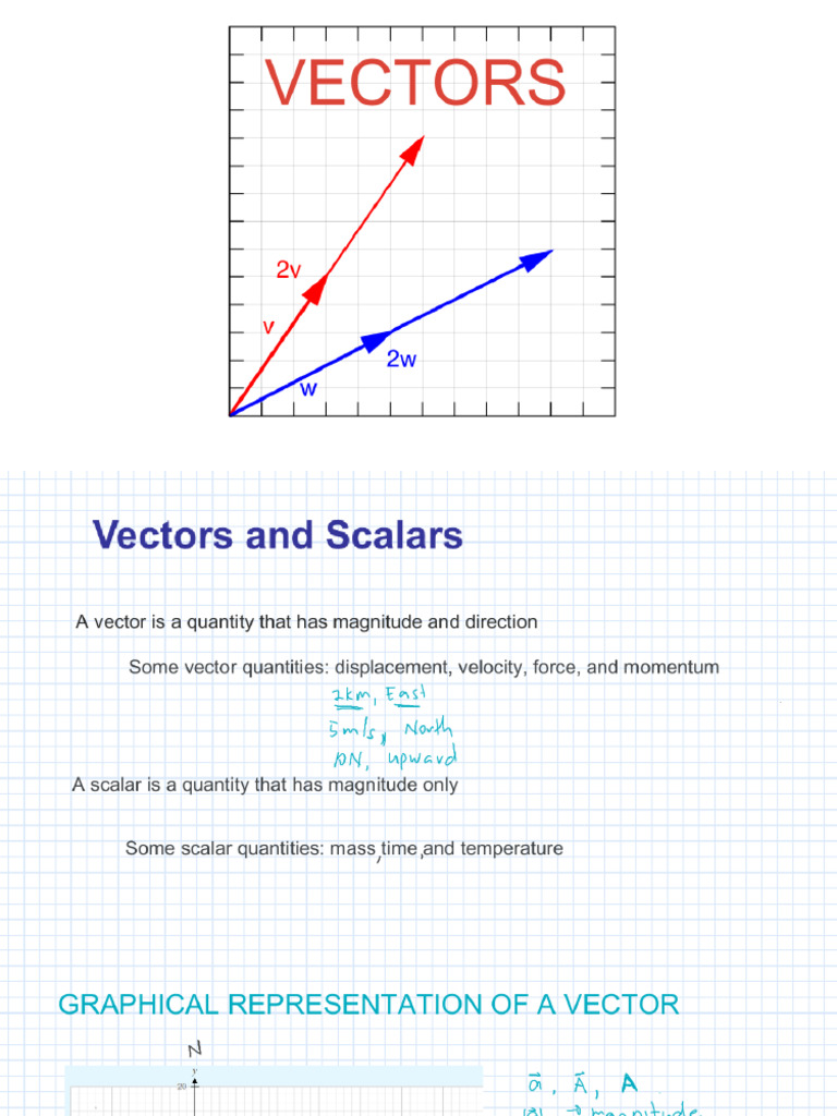 VECTORS | PDF