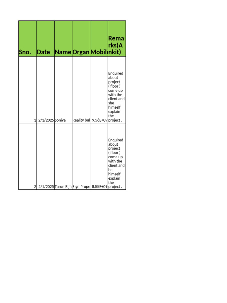 Project Inquiry Log for February 2025 | PDF