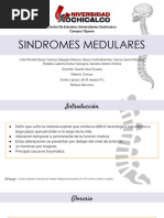 Guía Integral para Lesión Medular | PDF | Lesión de la médula espinal ...