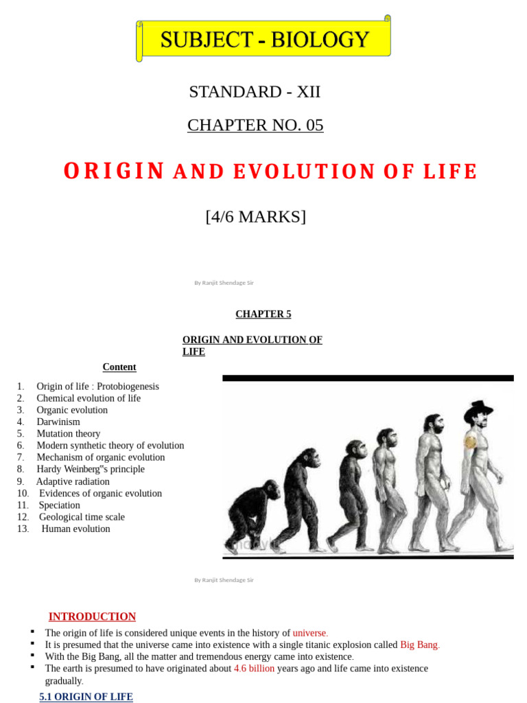 Origin and Evolution of Life Explained | PDF | Natural Selection | Mutation