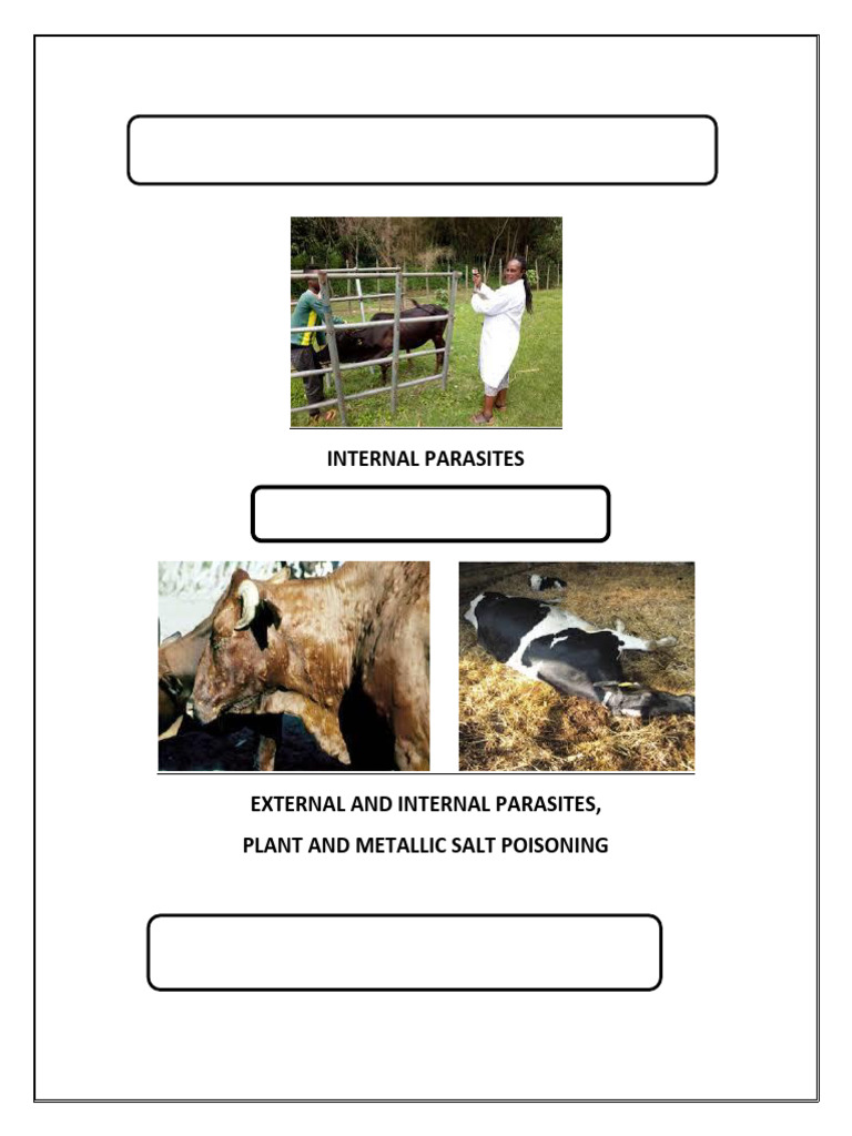 G2. ANIM DEASES AND PROTECTION PARASITES Term 2 | PDF | Parasitism ...