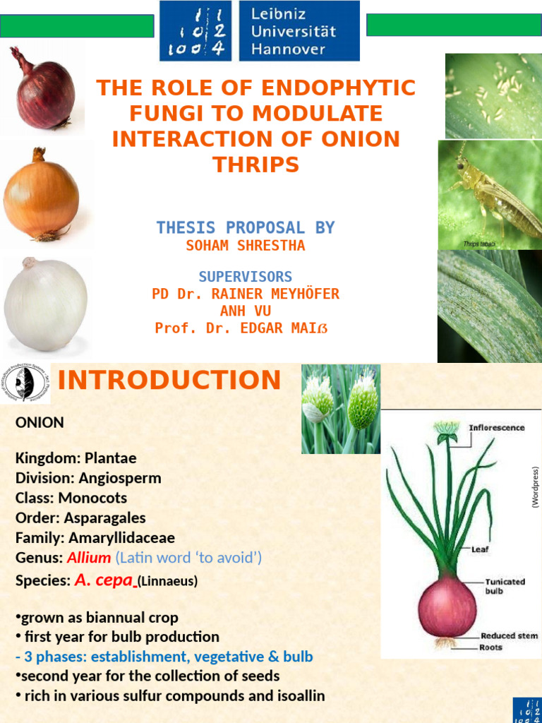 Msc Proposal | PDF | Onion | Organisms