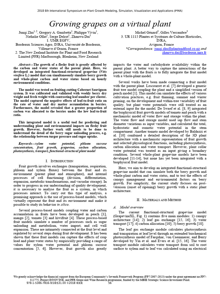 Growing Grapes On A Virtual Plant | PDF | Leaf | Plant Stem