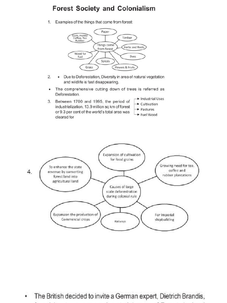 forest society and colonialism ppt | PDF
