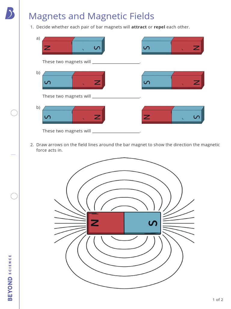 Magnets and Magnetic Fields | PDF