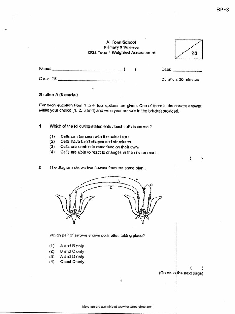 P5_Science_2022_WA1_Aitong | PDF