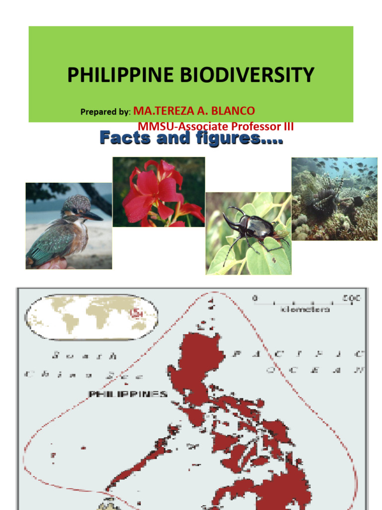 Philippine Biodiversity Overview and Conservation | PDF | Biodiversity ...