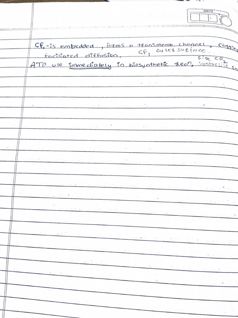 Scanned 20250328 135553 | PDF