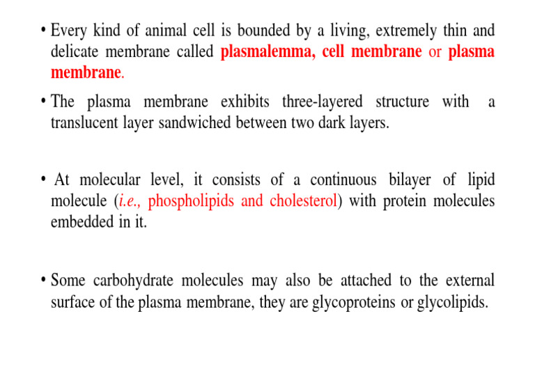Plasmalemma, Cell Membrane Plasma Membrane | PDF