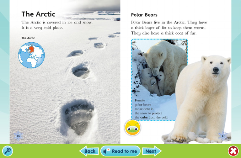 Arctic Polar Bears and Their Habitat | PDF