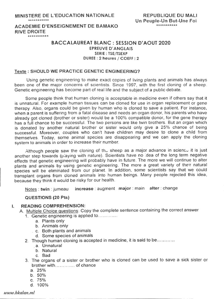 Bac Blanc Tse Tsexp 2020 Lv1 Anglais | PDF