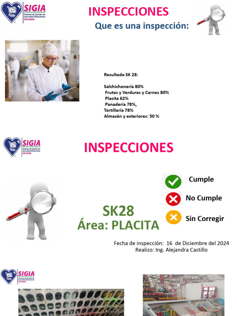 Inspeccion - Sigia Sk-28 Diciembre 2024 | PDF