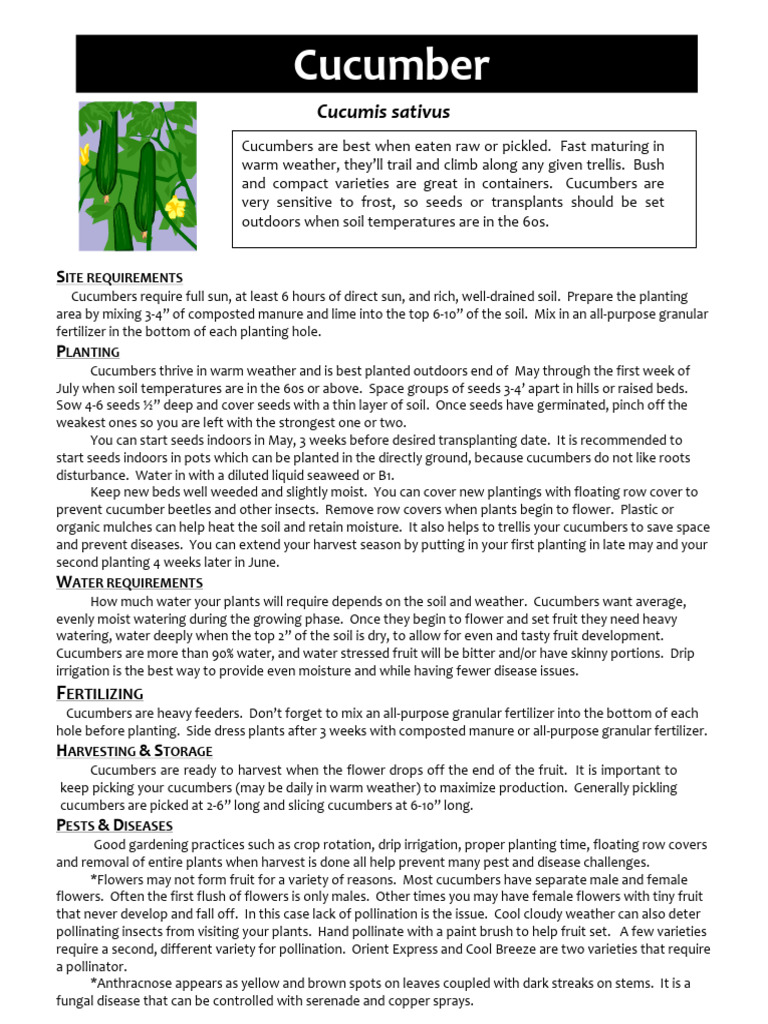 Cucumbers Portland Nursery | PDF | Cucumber | Botany