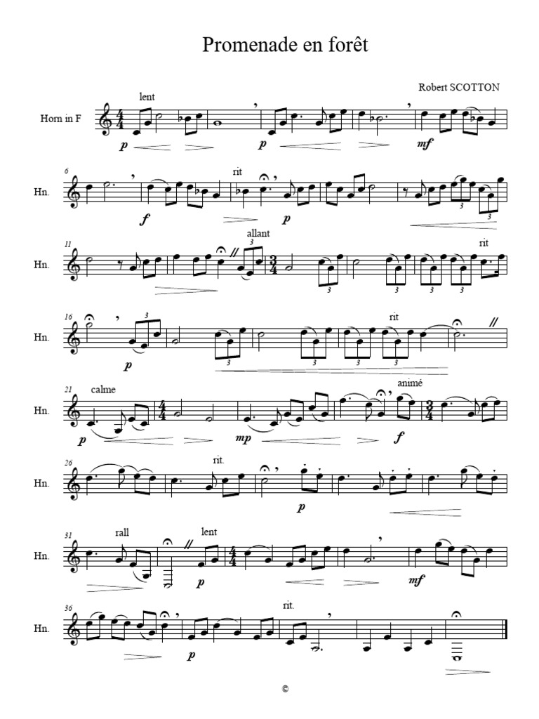 PROMENADE EN FORET | PDF