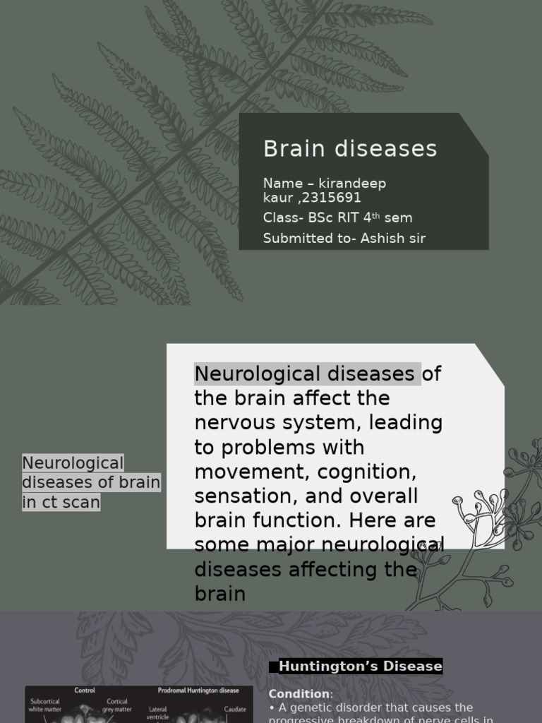 Major Neurological Brain Diseases | PDF | Stroke | Alzheimer's Disease