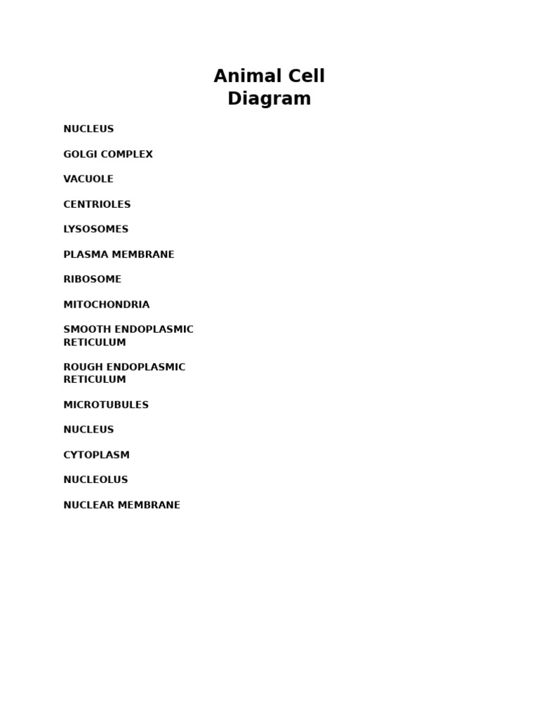 Animal Cell Structure Diagram | PDF