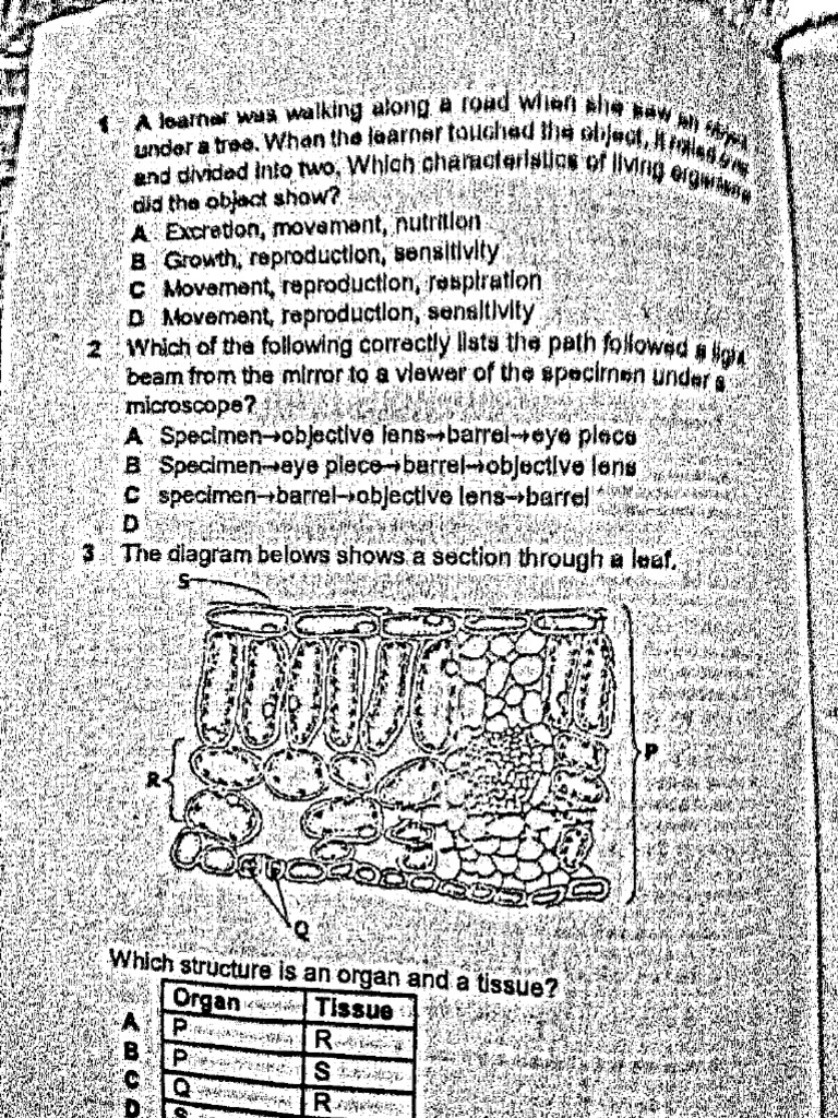 Bio 1 | PDF