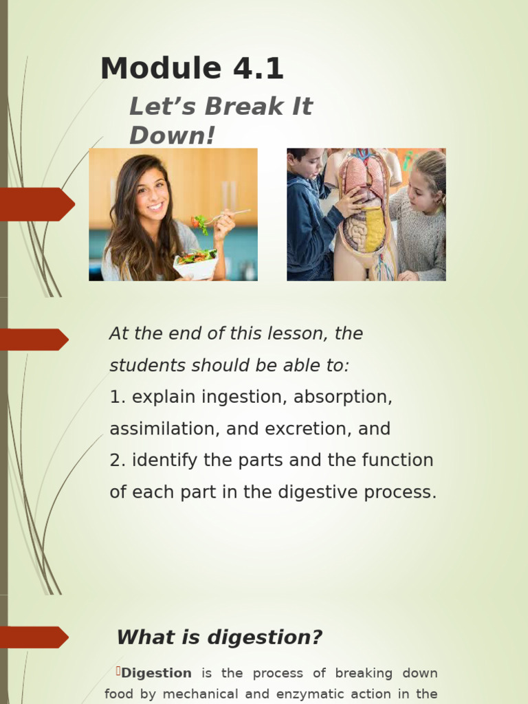 Lesson 4 1 - Let S Break It Down! (Digestive Sytem) | PDF | Digestion ...