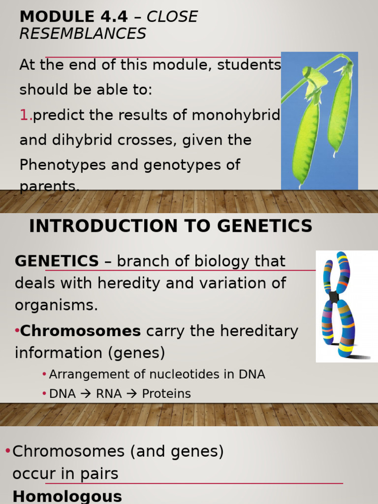 Lesson 4 4 - Close Resemblances (Genetics) | PDF | Dominance (Genetics ...