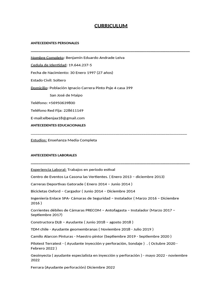 Curriculum 2025 Benjamin | PDF