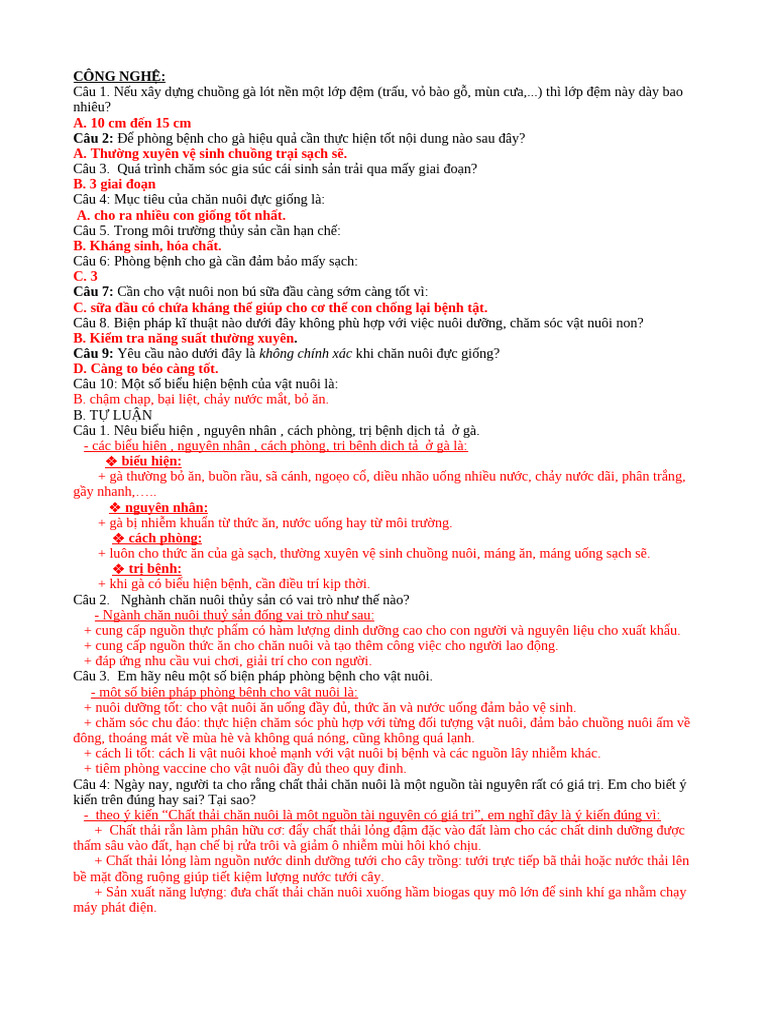 CN7- ÔN TẬP CUỐI HK2 | PDF