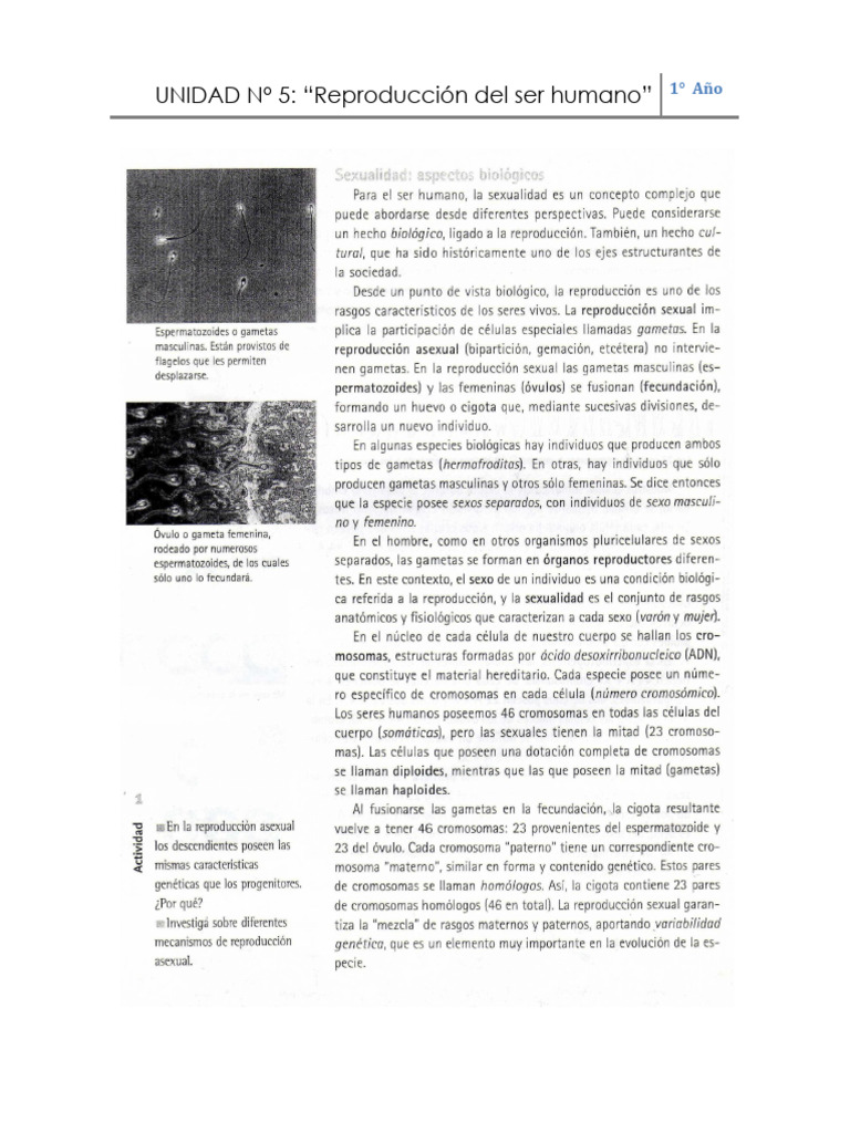 UNIDAD N-5 Reproducci-n Humana.docx | PDF | Reproducción humana | Reproducción