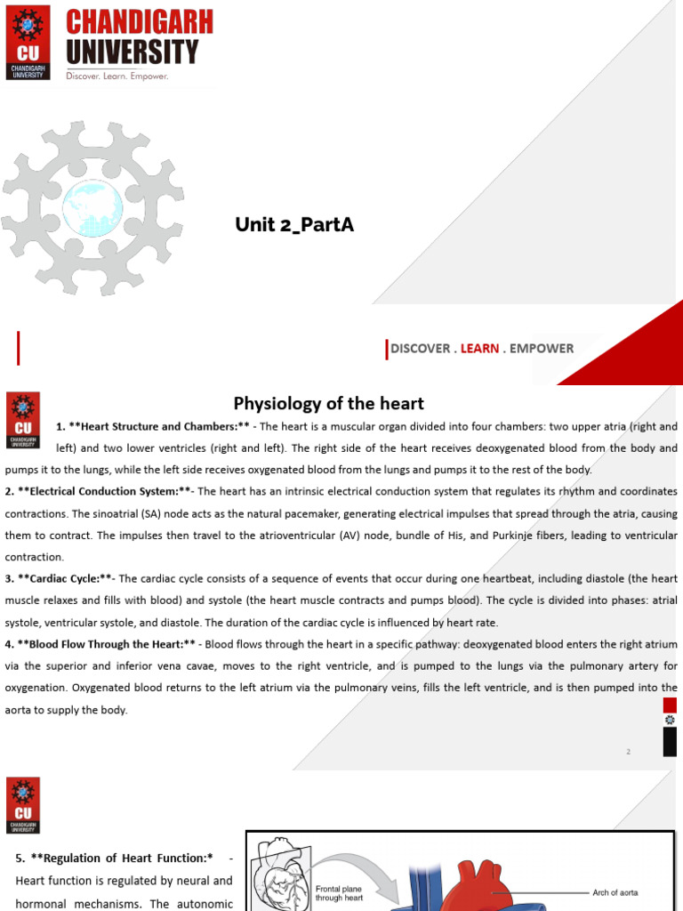 Animal Physiology Unit 2 PartB 2 | PDF | Heart | Muscle Contraction