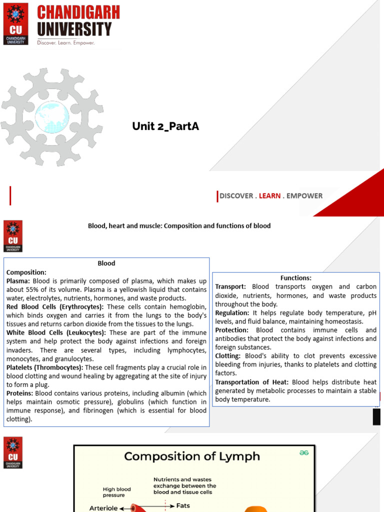 Animal Physiology Unit 2 PartA 2 | PDF | Coagulation | Hemoglobin