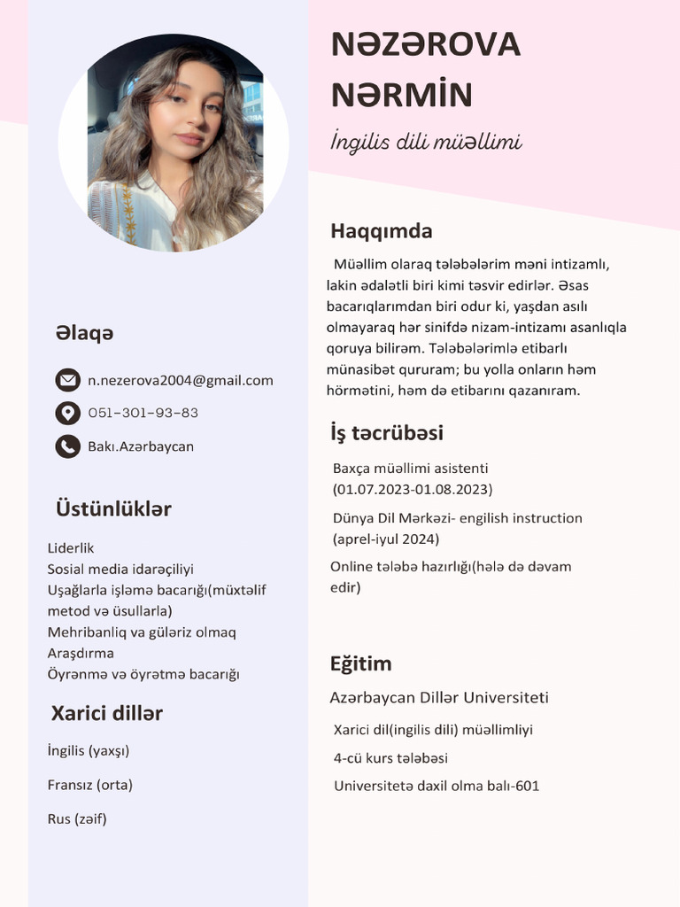 Narmin CV | PDF