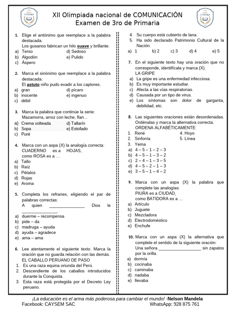 Examen de Comunicación 3ro Primaria | PDF