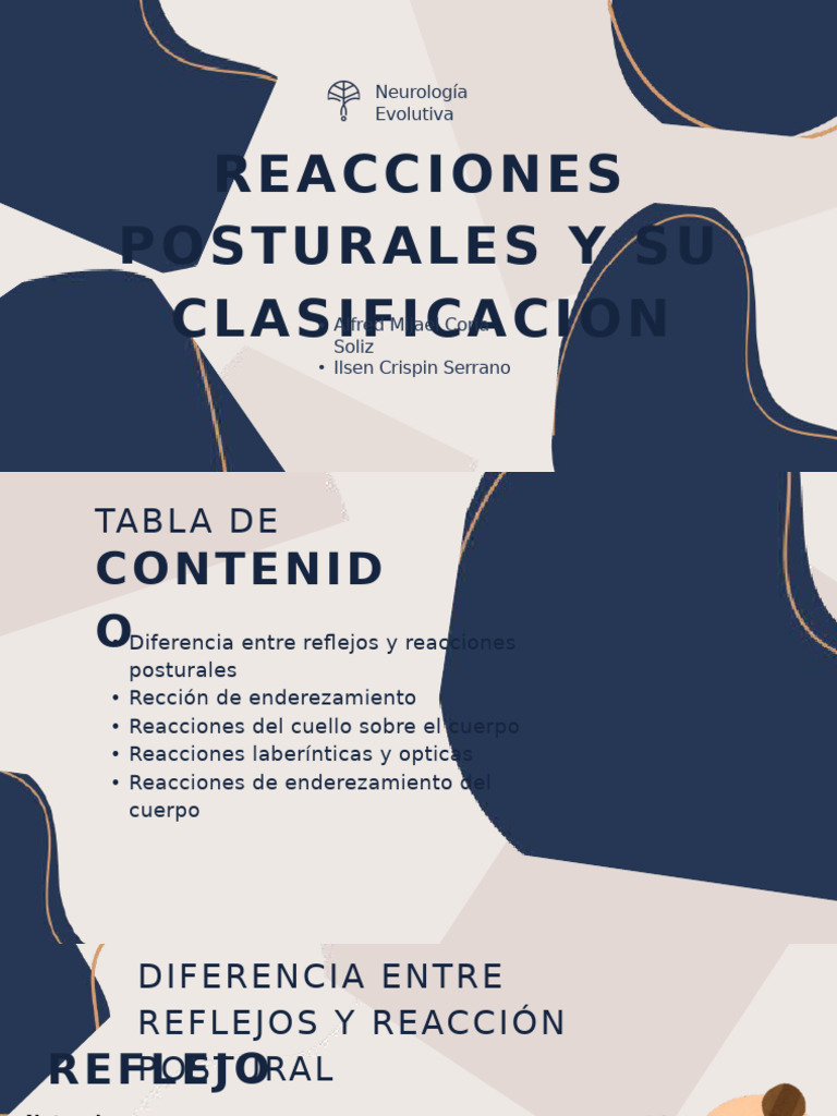 Reacciones Posturales y Su Clasificación - 20250327 - 171433 - 0000 ...