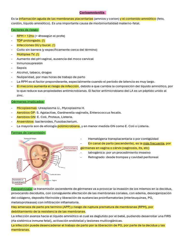 Corioamnionitis y Endometritis LR | PDF | Parto | Periodo posparto