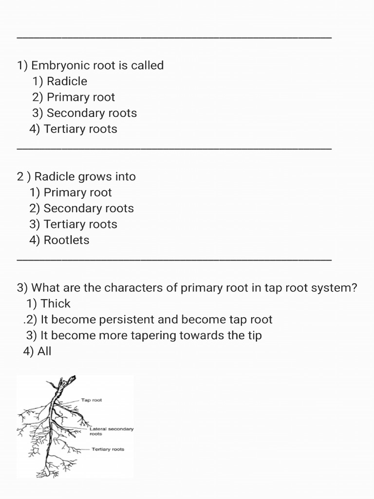 ROOT Material | PDF