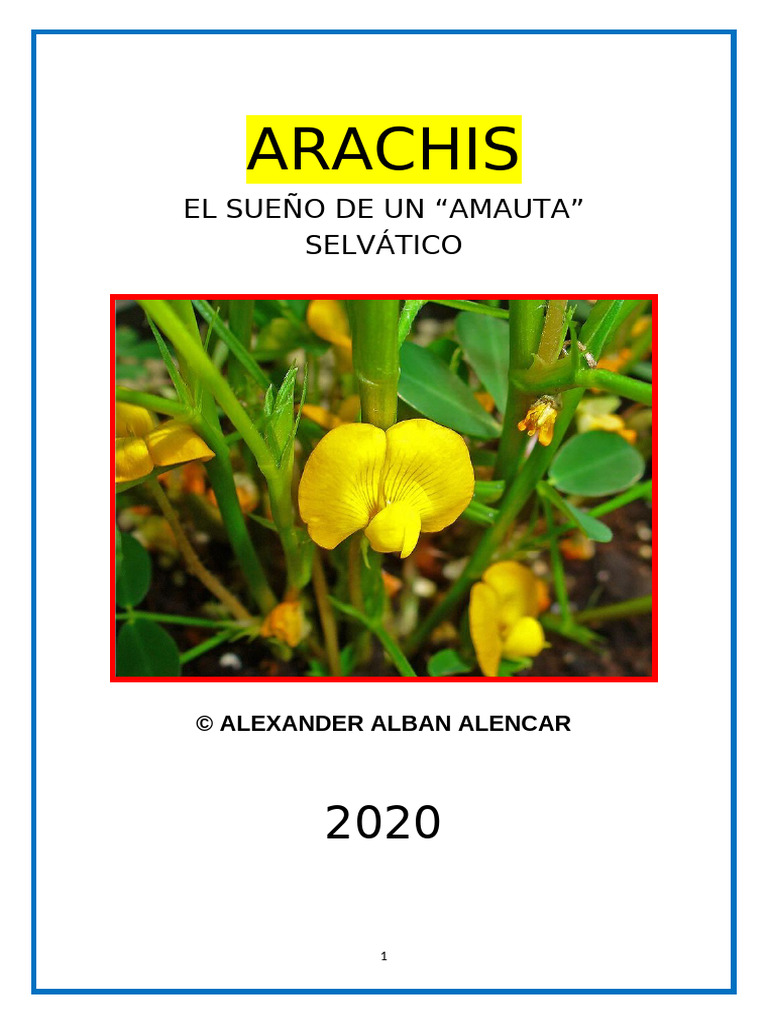 Arachis El Sueño de Un "Amauta" Selvático - Alexander Alban Alencar ...