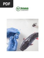 Course Business Creation and Growth (GST302 - 23) PDF | PDF | Marketing