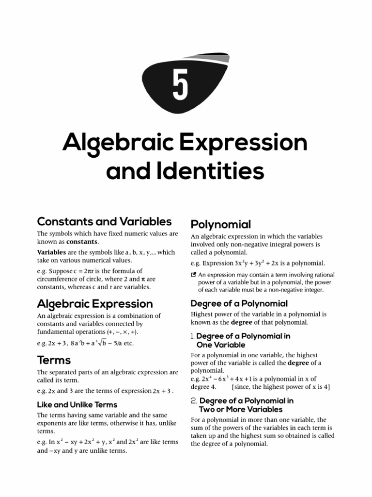 Notes Algebraic Expression | PDF