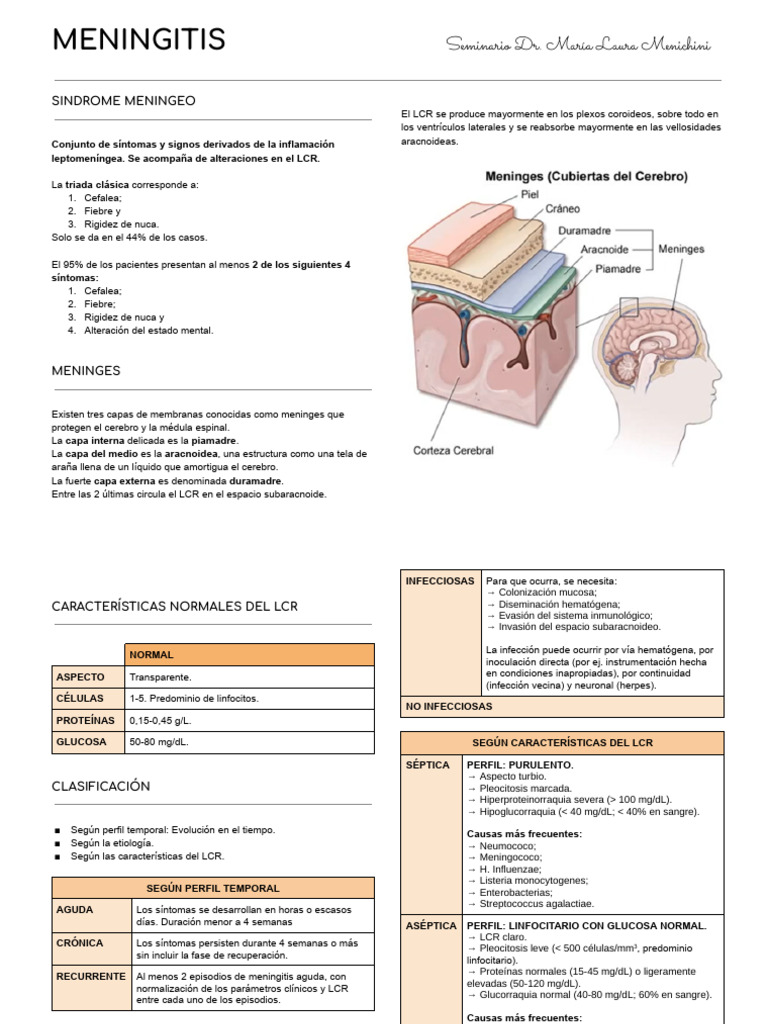 Meningitis: Síntomas, Diagnóstico y Tratamiento | PDF | Fluido ...