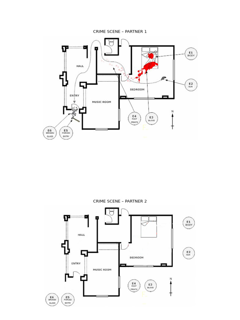 Crime Scene Investigation Activity | PDF