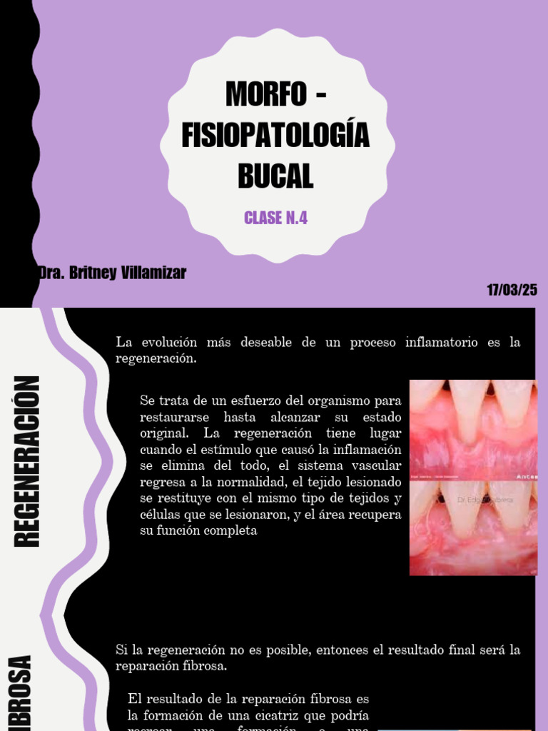 Clase 4 Morfo | PDF | Hueso | Cicatrización de la herida