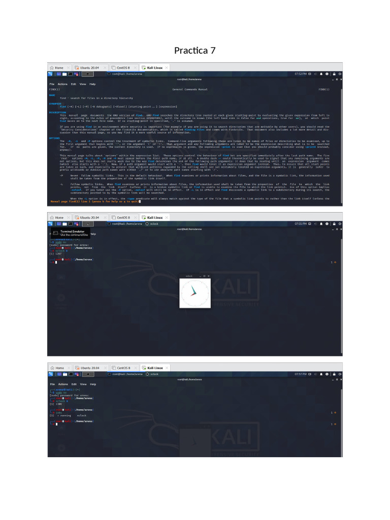 Practica 7 Ccna | PDF