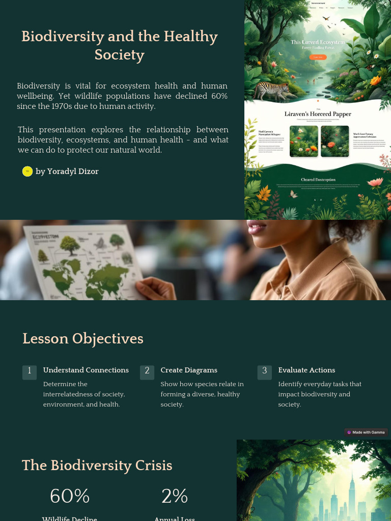Lesson 2 Biodiversity and Healthy Society | PDF | Ecosystem | Biodiversity